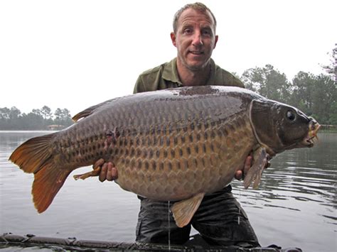 Lee Bowyer Interview Pocketmags Discover