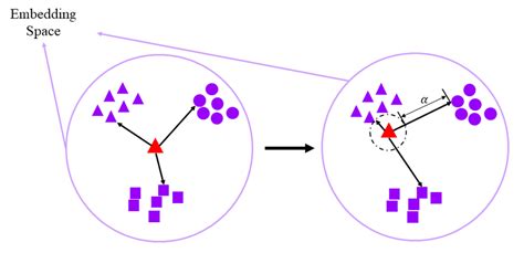 Illustration Of P N Pair Distance Loss Effect On A Target Domain Sample