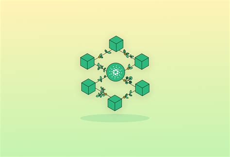 The Cardano Ecosystem A Beginners Guide
