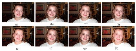 Image Enhancement Using Modified Histogram And Log Exp Transformation