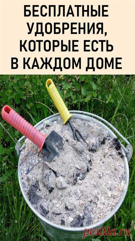 Бесплатные удобрения, которые есть в каждом доме. Наши предки не покуп ...