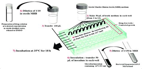Broth Microdilution For Antibacterial Testing As Recommended By Clsi Download Scientific