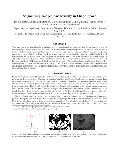 pdf segmenting images analytically in shape space