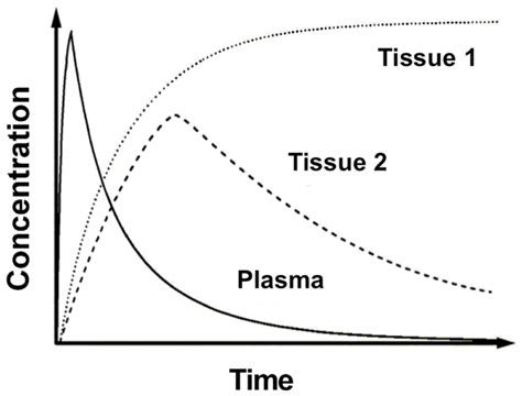 Time Activity Curves Example Of Time Activity Curves Of Radioactivity Download Scientific
