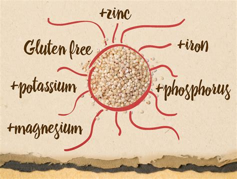 Organic Sorghum And Quinoa Fusilli Govifarm