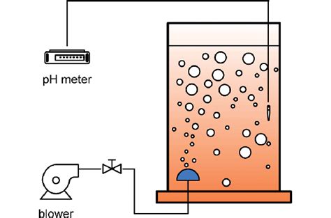Schematic Configuration Of Batch Reactor Download Scientific Diagram