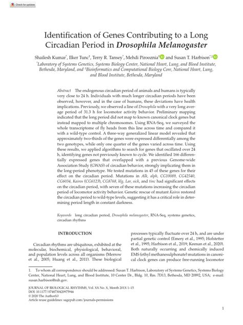 Drosophila Melanogaster Circadian Genes Pdf Clock Circadian Rhythm
