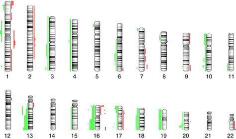 Oligonucleotide Array Comparative Genomic Hybridization Results The