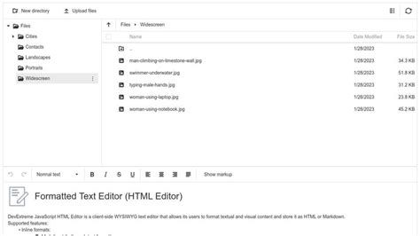 Toolbar Customization Devextreme Html Editor