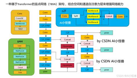 yolov8优化：图像去噪 aaai2025 transformer 一种基于transformer的盲点网络（tbsn）架构 ，结合