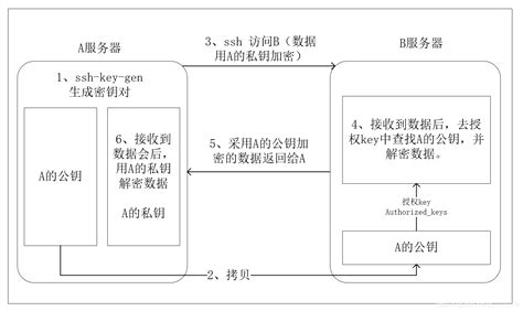 Centos8 Ssh配置三台虚拟机免密登录 Root 及 非root 稍有差异；ssh的免密登录详细步骤ssh登录的root和本地的