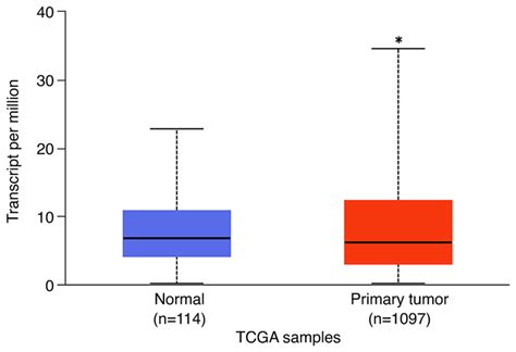 Students T Test Comparison Between The Number Of Signaling Lymphocytic