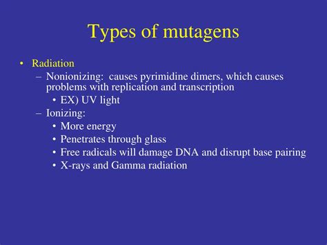 What Are Two Types Of Mutagens At Patricia Sanchez Blog