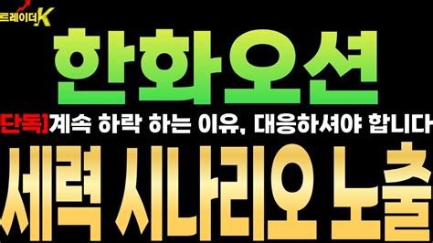 한화오션 단독 계속 하락하는 이유 대응하셔야 합니다 세력 시나리오 노출 한화오션 한화오션주가전망 Youtube
