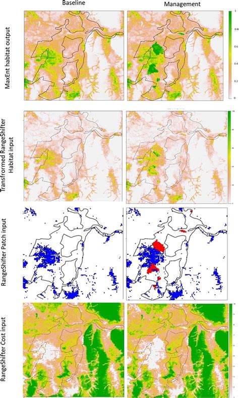 Maxent Outputs And Rangeshifter Spatial Inputs For Arvicola Amphibius Download Scientific