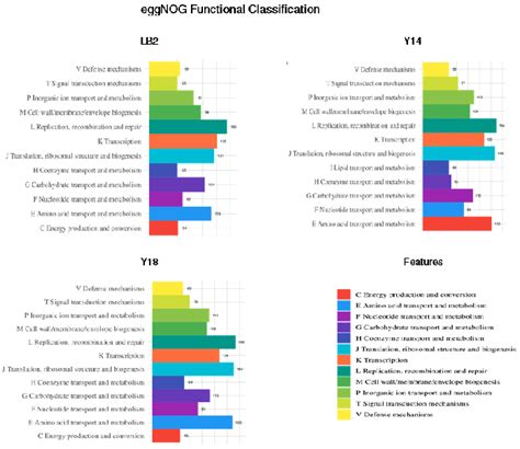 Classification Of The Eggnog Annotation Of The Probiotic Bacterial