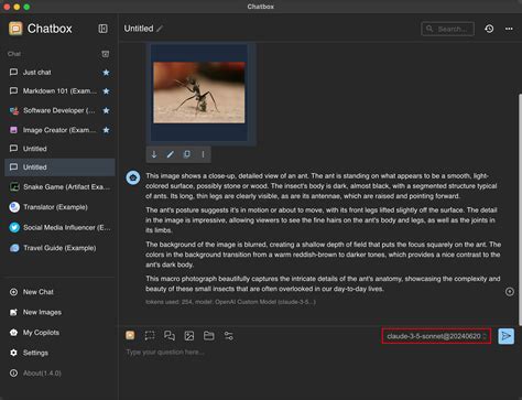 Introduction Openai Api Proxy Community Openai Developer Community