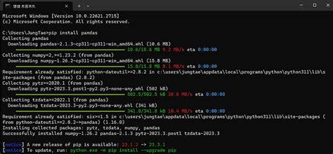 Python 파이썬 판다스pandas 설치 다운로드 하기 버전 확인