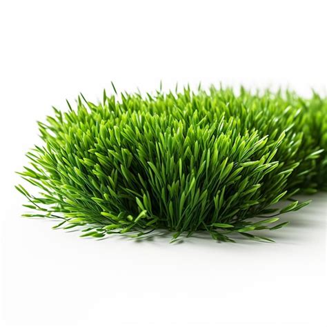Premium Ai Image Isolated Green Grass On A White Background