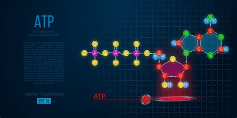 Carbon Cycle Vector Images Over 1 000