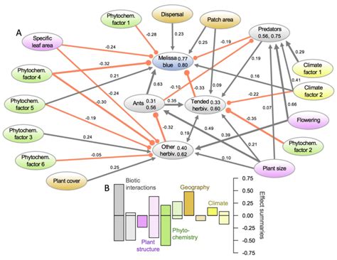 Structural Equation Model And Summary Of Direct And Indirect Effects