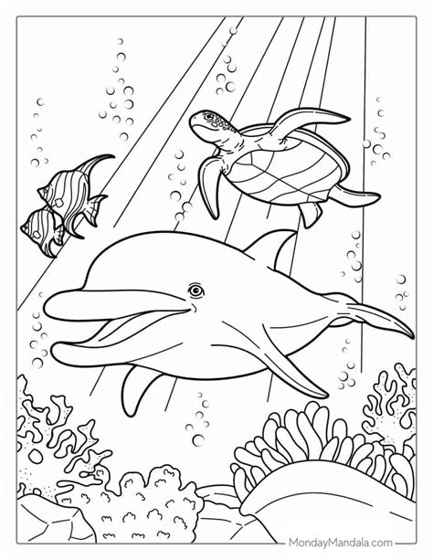 Dive Into Fun With Dolphin Printable Coloring Pages