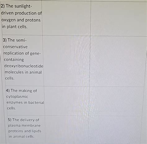Solved Cells Consist Of Many Internal Macromolecular