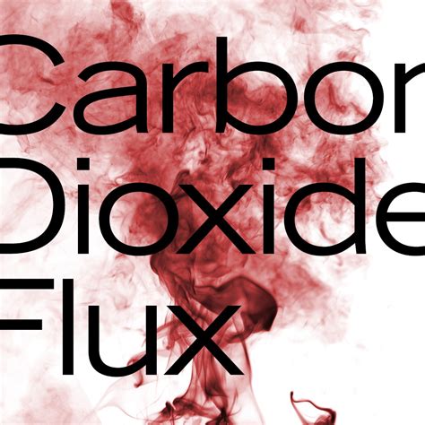 Carbon Dioxide Flux Creative Inquiry