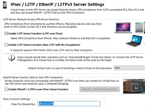 Windows SoftEther VPN Server Seakfind