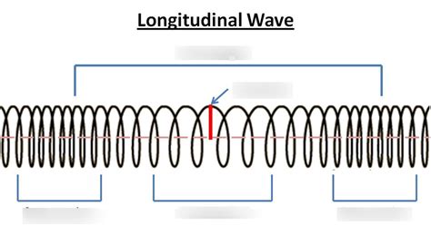 Longitudinalcompression Wave Diagram Diagram Quizlet