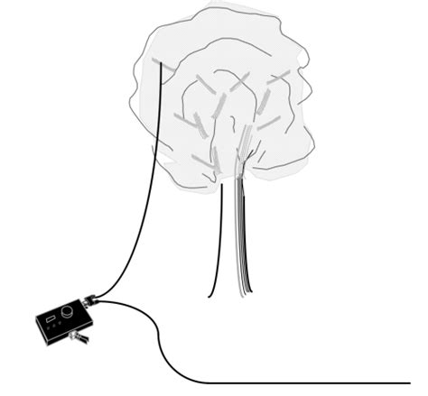 Tinkering With An Antenna
