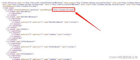 【开发问题】java访问webservice接口查看wsdl文件并且填写相关参数wsdl文件怎么看 Csdn博客