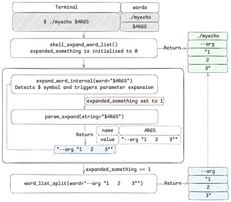 When Quoting Variables Backfires A Deep Dive Into Bash Expansion On