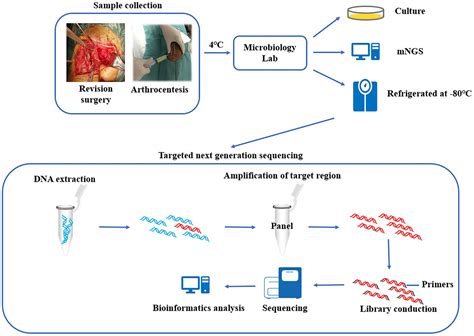 Frontiers Multiplex Pcr Based Next Generation Sequencing As A Novel Targeted And Accurate