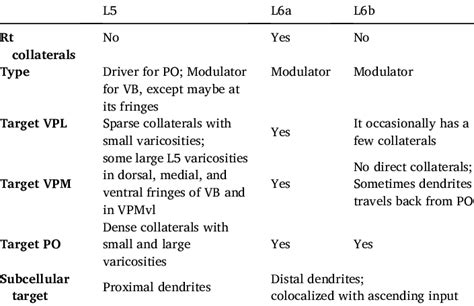 Summary Table For The Properties Of The Descending Afferents To The