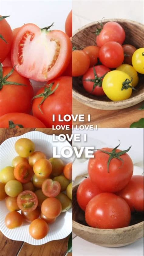 농수산물 마켓 친환경팔도👨‍🌾 포테이토피자 감자피자 👌 이번 편스토랑 레시피는 밀가루를 전혀 사용하지 않고 감자를 도우로 한 피자 🍅🍕 감자 계란 토마토를