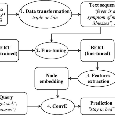 13 Bert Conve Workflow Download Scientific Diagram
