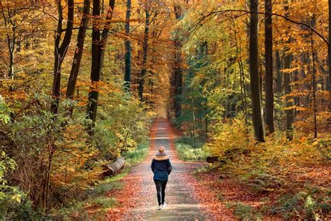 A Step By Step Guide To Walking Meditation Wildmind