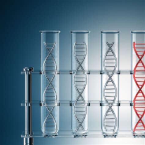 Introduction And Comparison Of DNA Extraction Methods News Geneture