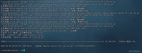 解决：linux 系统中安装配置tomcat 10 联网下载wget tomcat