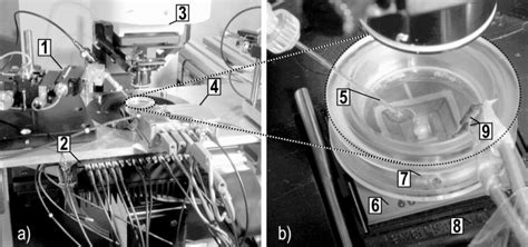Schematic Measurement Setup Download Scientific Diagram