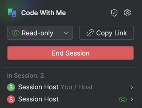 开始使用 Code With Me Intellij Idea 文档