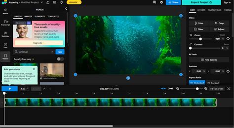 How To Blur Videos Online For Free To Produce Stunning Visual