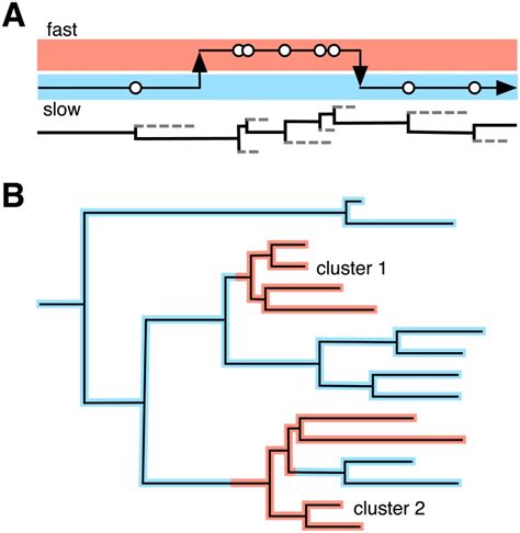 a model based clustering method to detect infectious disease