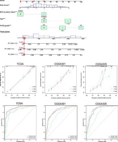 Construction And Validation Of Nomogram Based On Independent Prognostic