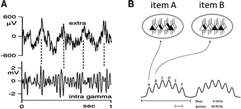 The Theta Gamma Neural Code Neuron
