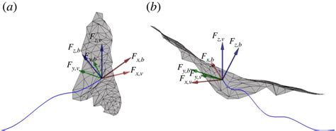 Contributions Of Forces In Body Fixed Coordinate System To Forces In