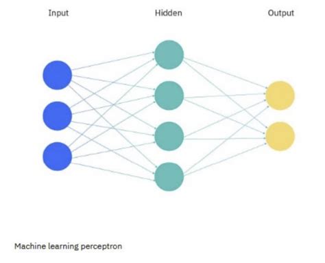 Ibm Ai Fundamentals What Is The Function Of Perceptron In Neural Network Pupuweb