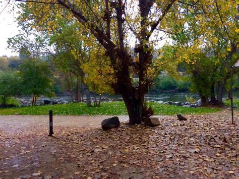 Coloma Resort Camping Coloma California
