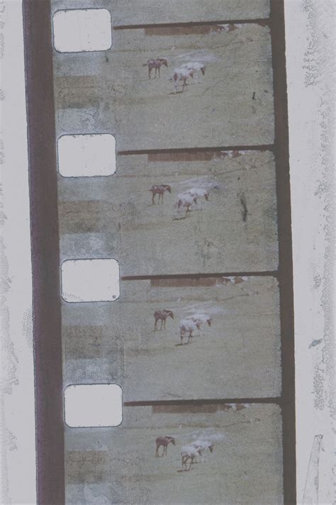 Solved Straighten Multiple Layers Inside Photoshop Adobe Product